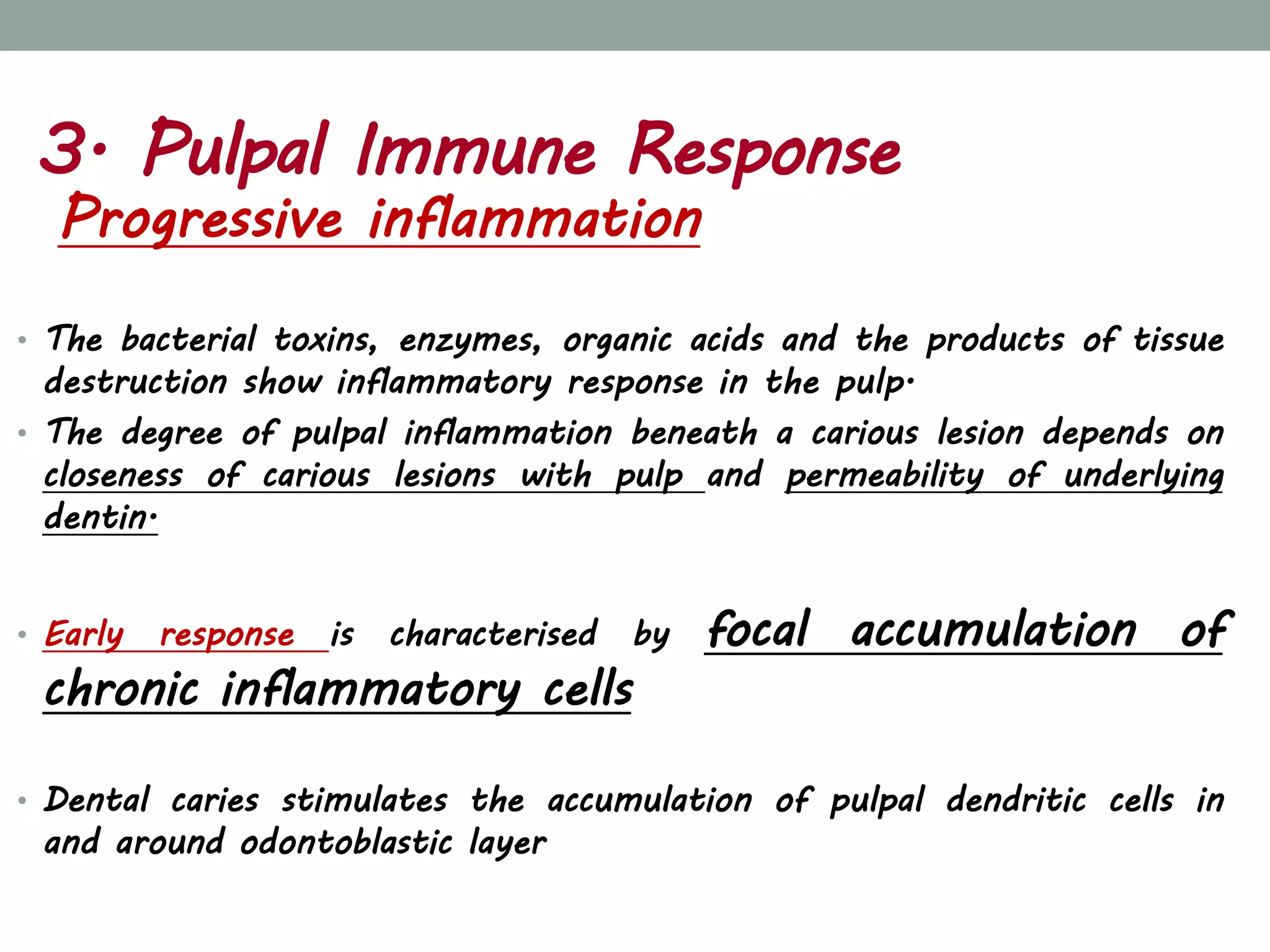 pulp protection.pdf