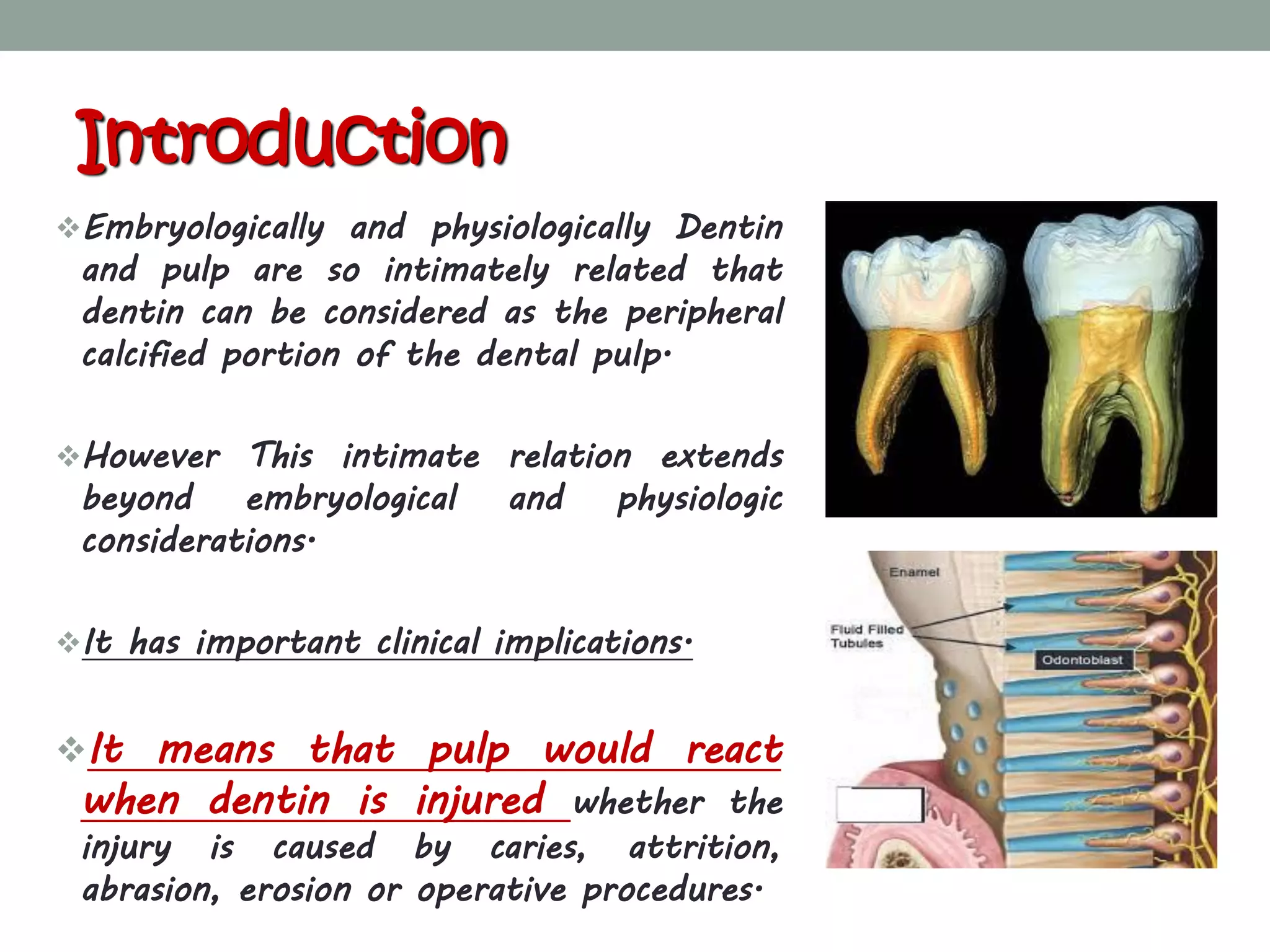 pulp protection.pdf