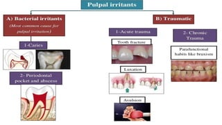 Basic goal of conservative dentistry is to preserve the health of ...