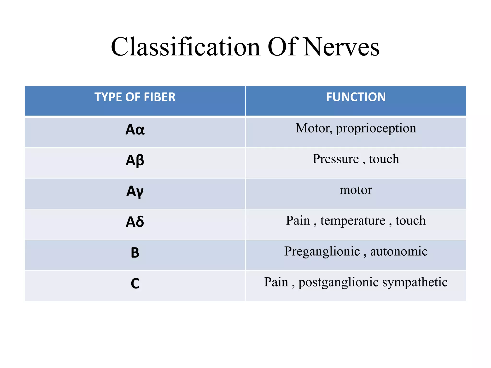 Pulp protection | PPTX