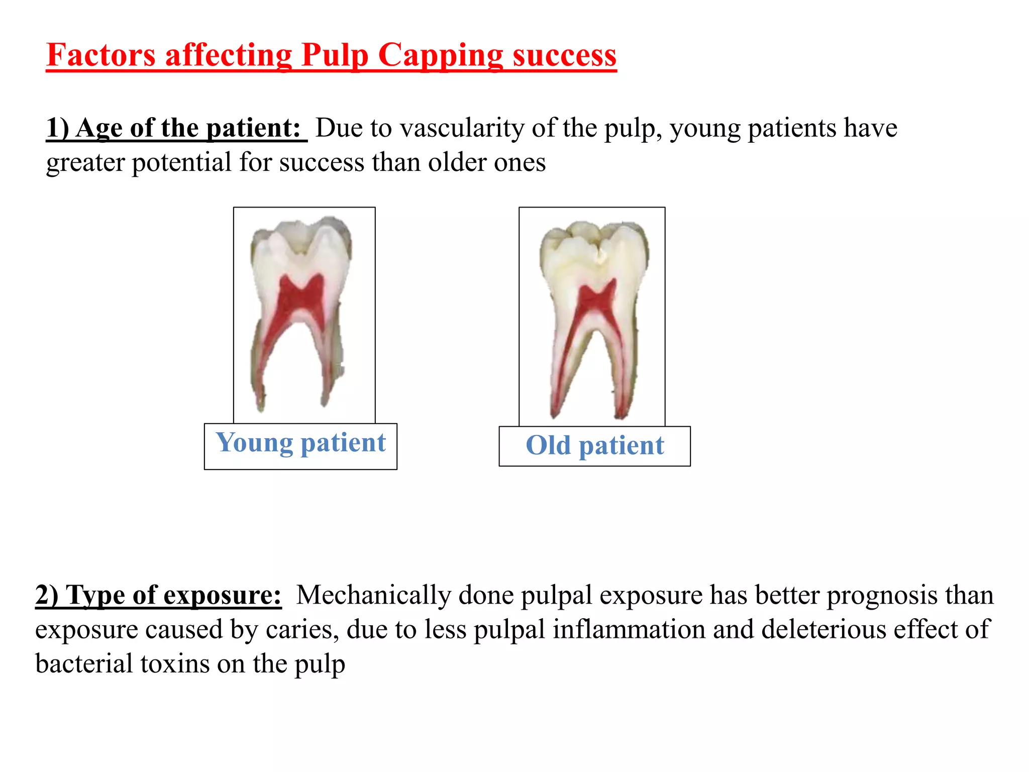 Pulp protection | PPTX
