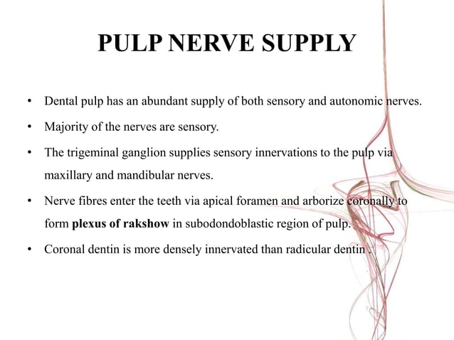 Pulp protection | PPTX