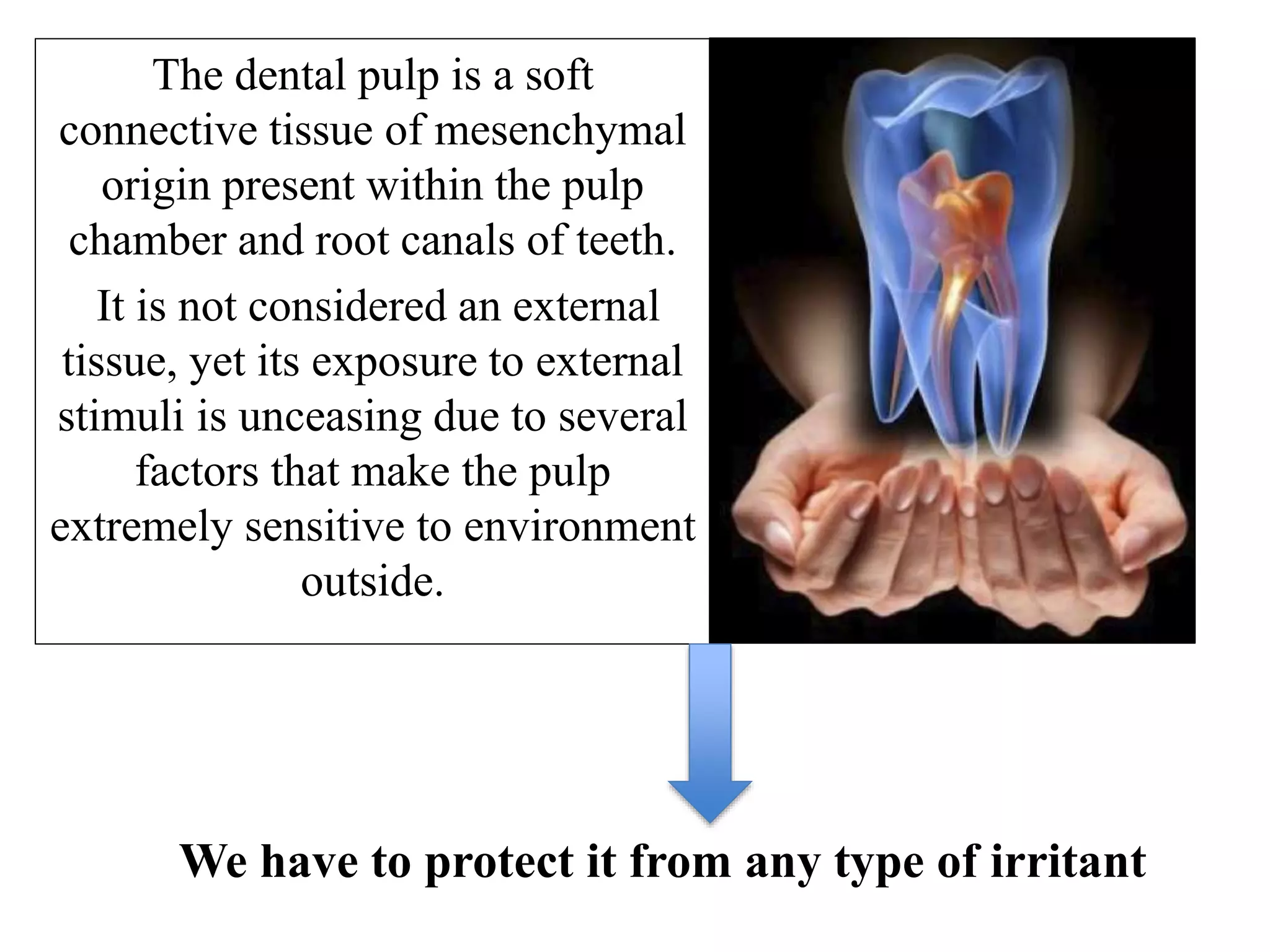 Pulp protection | PPTX