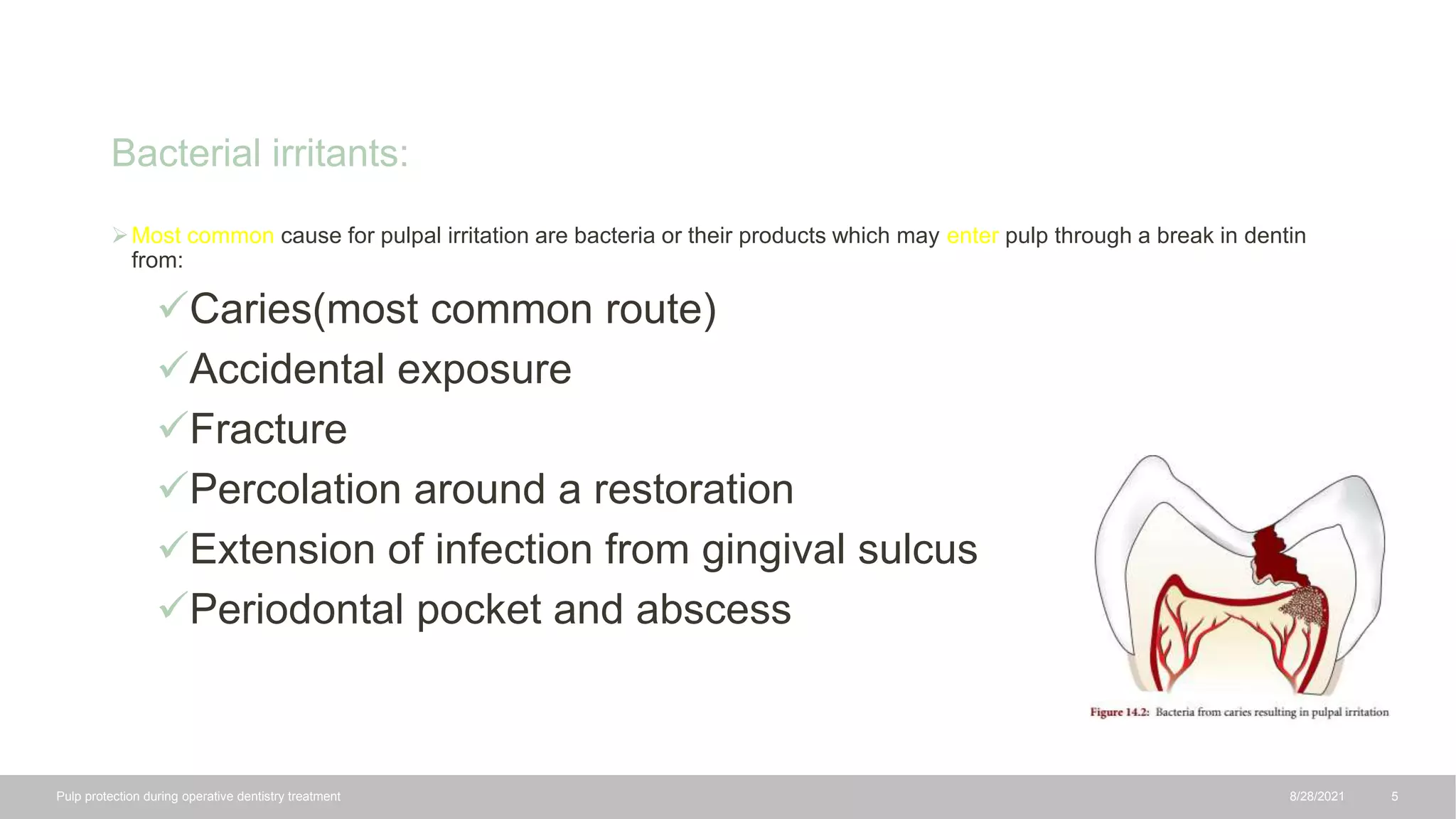 Pulp protection during operative dentistry treatment by dr. ebsa | PPTX