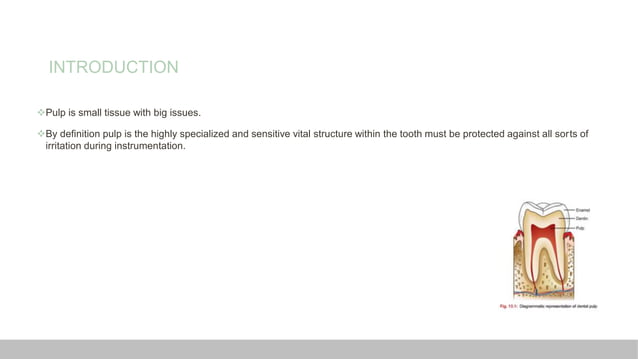 Pulp protection during operative dentistry treatment by dr. ebsa | PPTX