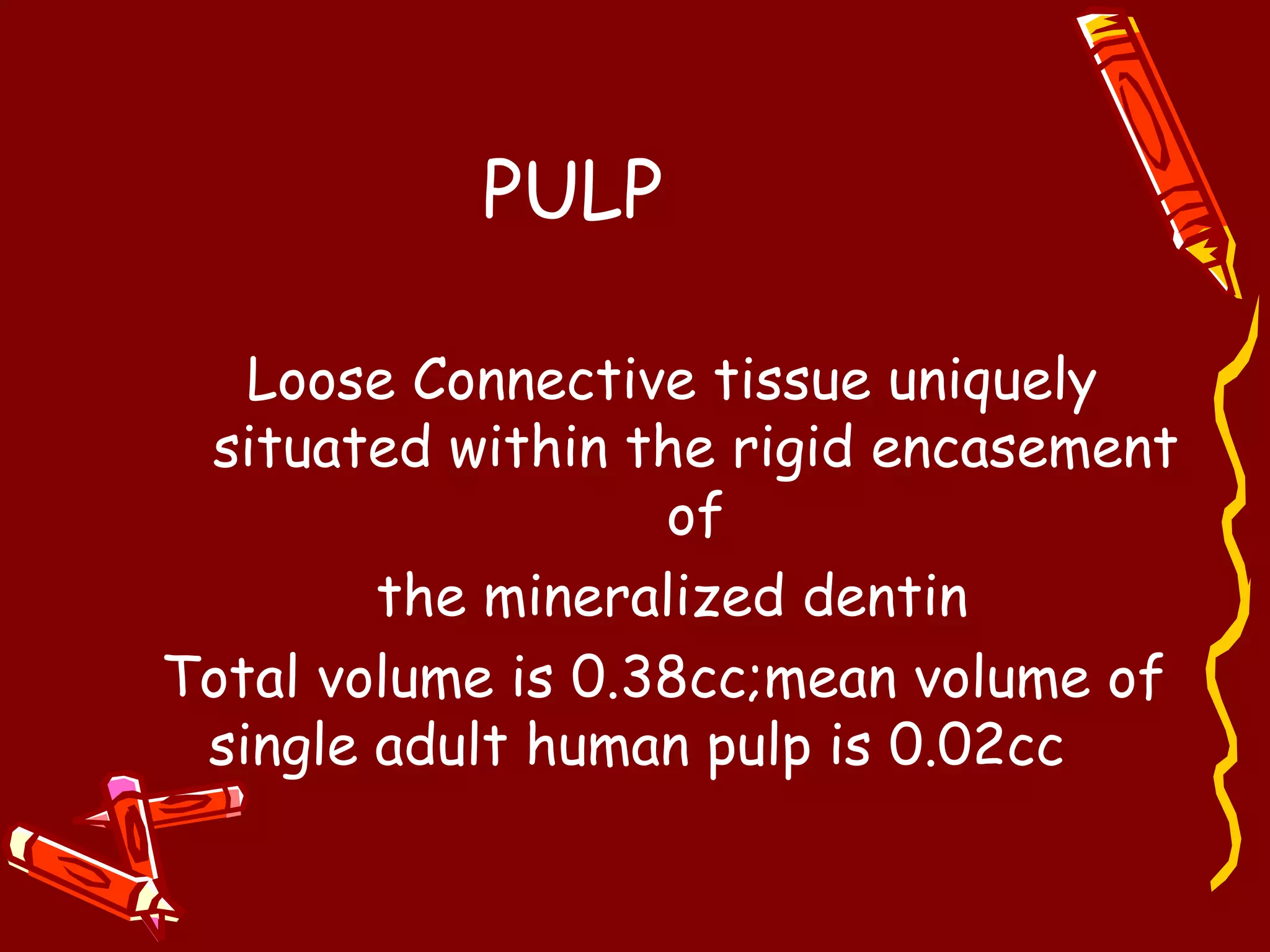 pulp protection | PPT
