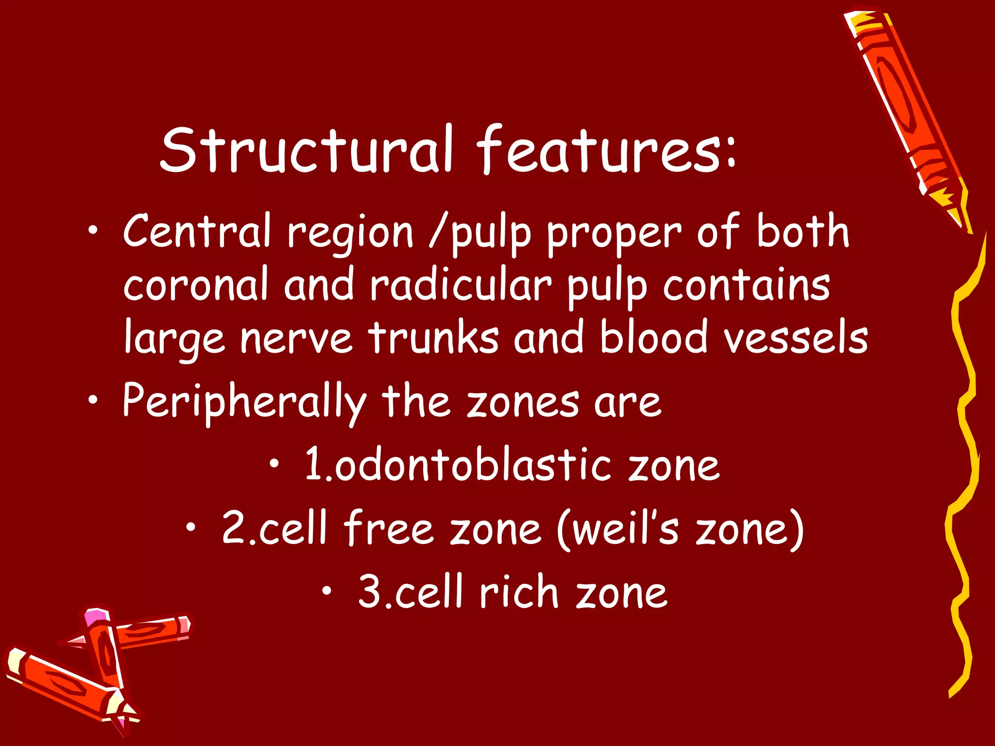 pulp protection | PPT