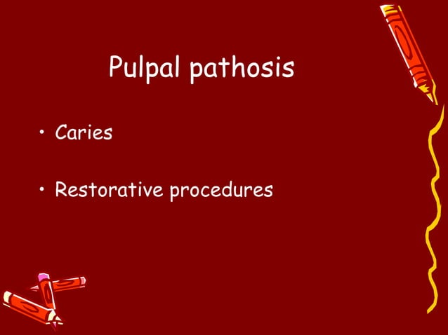pulp protection | PPT