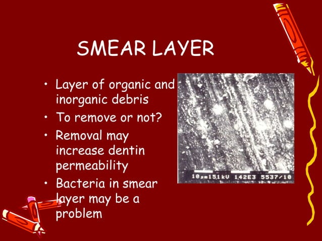 pulp protection | PPT