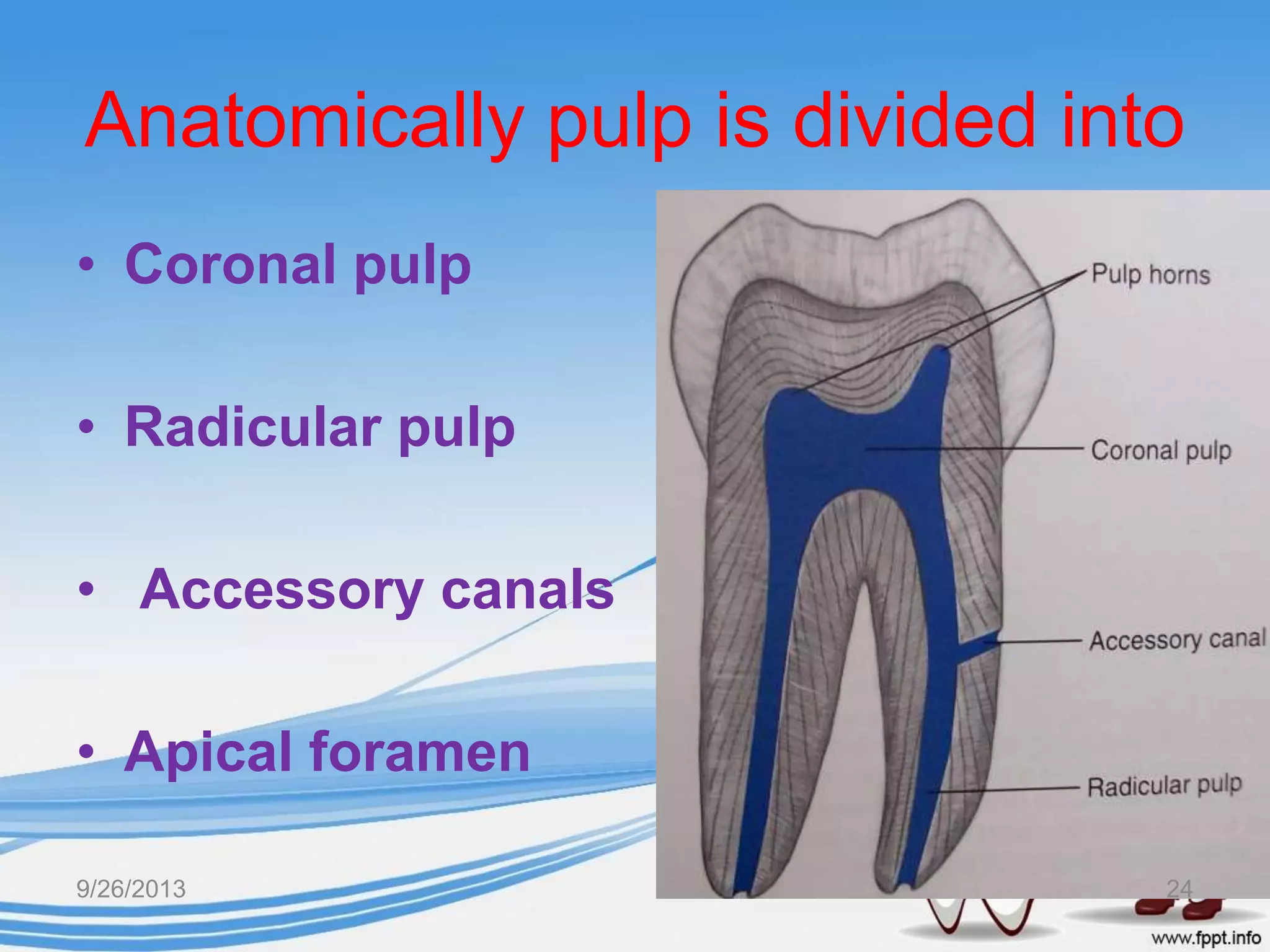 Pulp & pulpal diseases | PPTX
