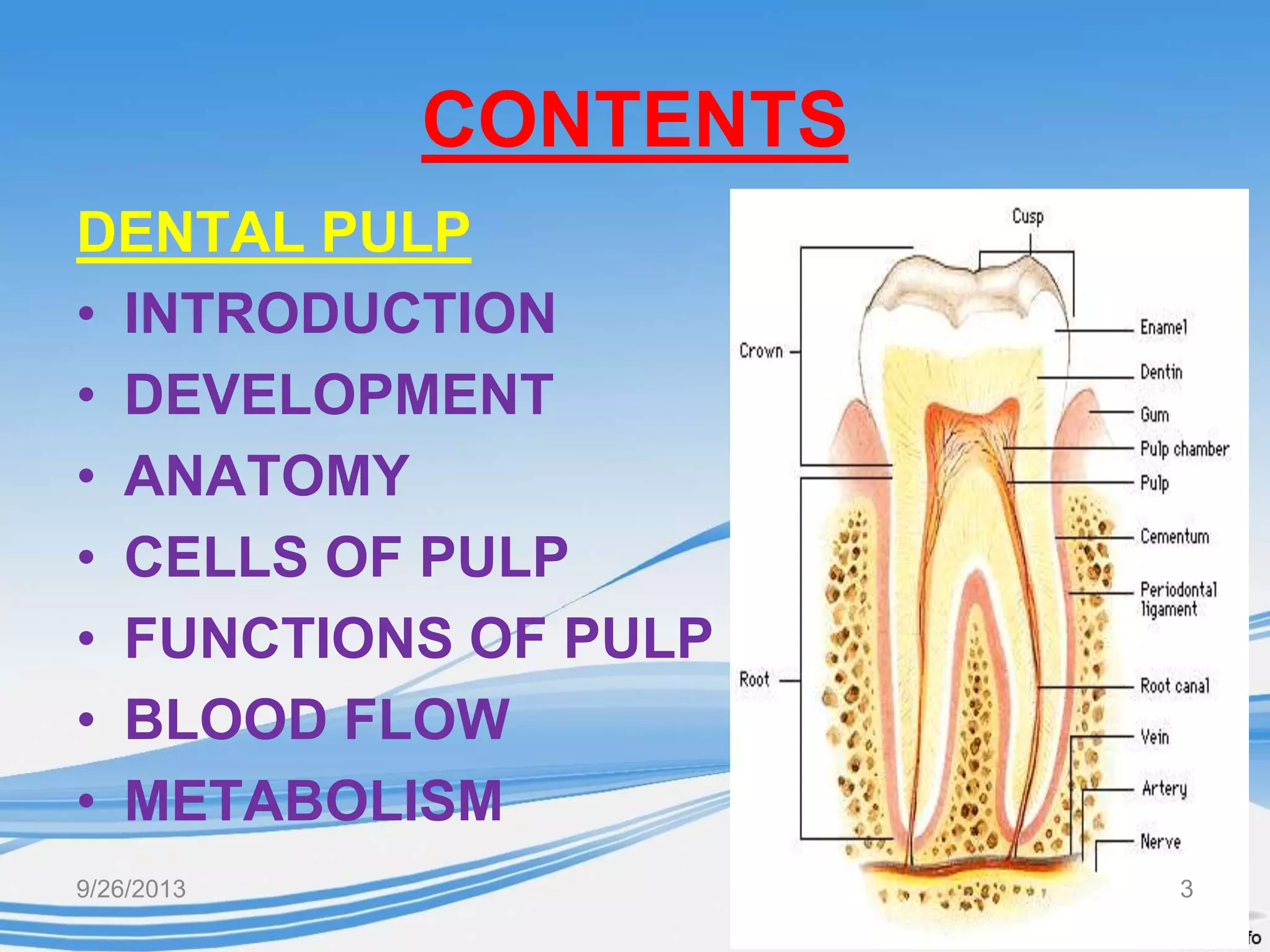 Pulp & pulpal diseases | PPTX | Dental Health | Diseases and Conditions