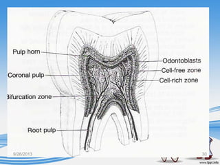 Pulp & pulpal diseases | PPTX