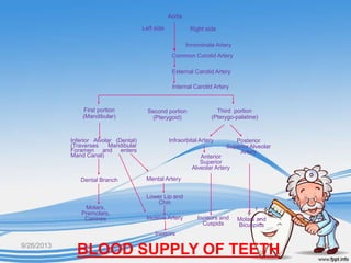 Pulp & pulpal diseases | PPTX
