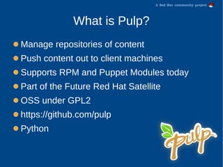 Hosting a Custom Forge with Pulp | PPT