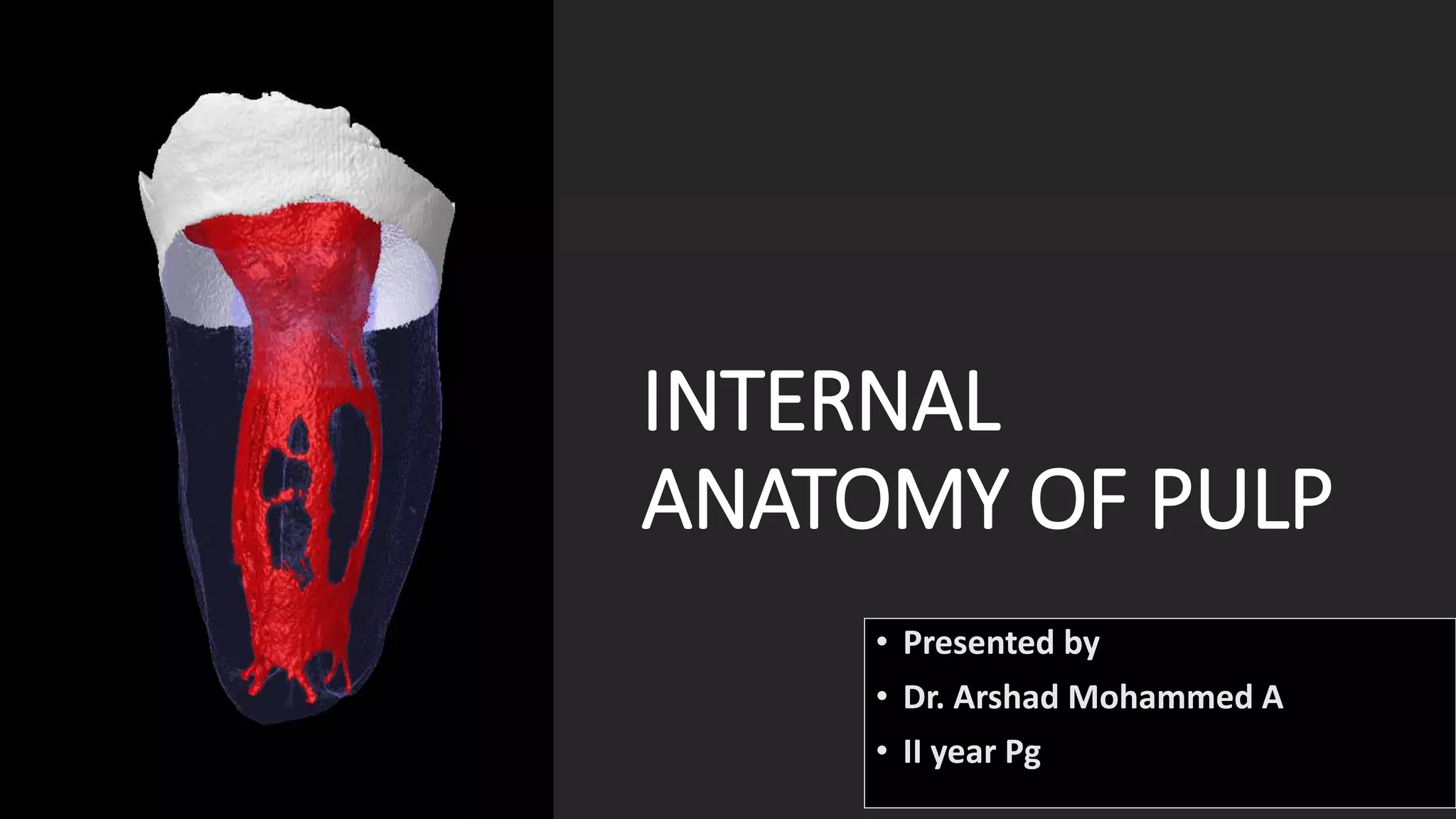 Internal Anatomy of Pulp cavity | PPTX