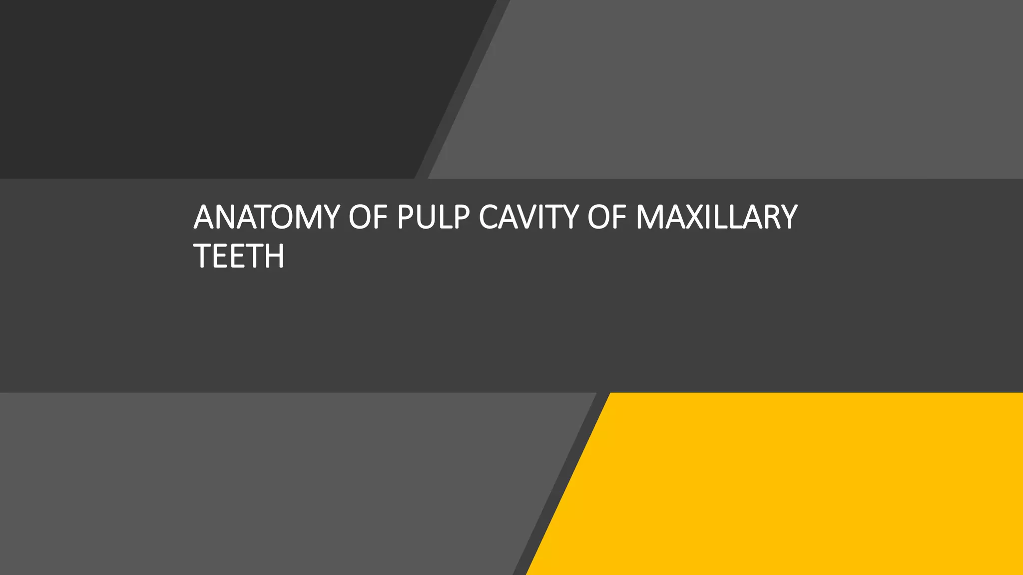 Internal Anatomy of Pulp cavity | PPTX