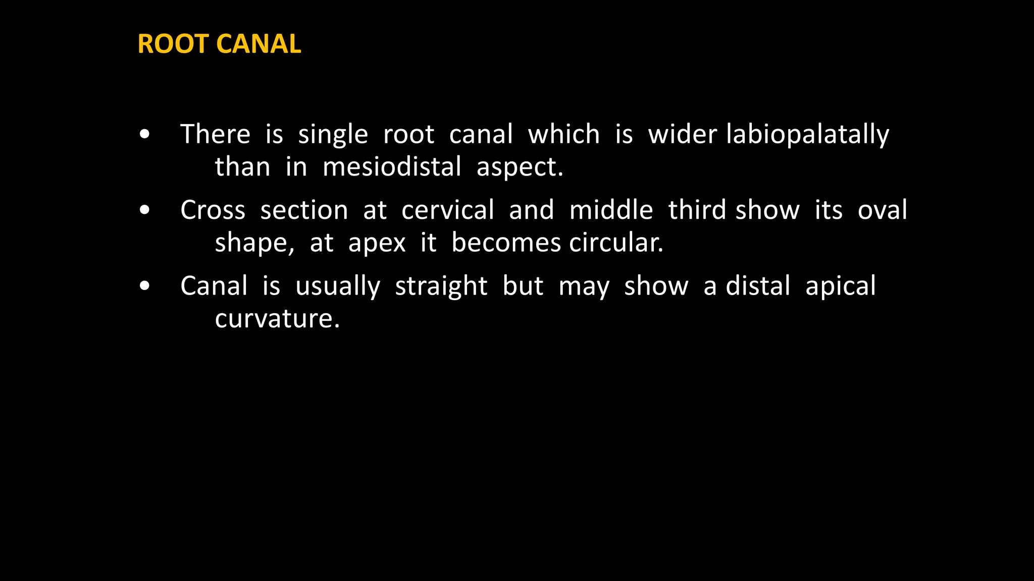 Internal Anatomy of Pulp cavity | PPTX