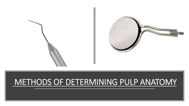 Internal Anatomy of Pulp cavity | PPTX | Dental Health | Diseases and ...