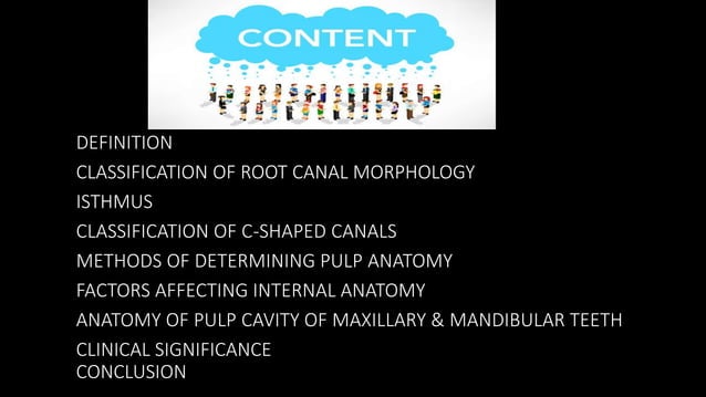 Internal Anatomy of Pulp cavity | PPTX | Dental Health | Diseases and ...