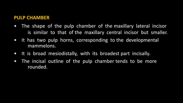 Internal Anatomy of Pulp cavity | PPTX | Dental Health | Diseases and ...
