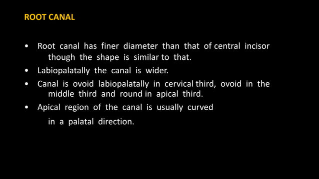 Internal Anatomy of Pulp cavity | PPTX | Dental Health | Diseases and ...
