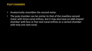 Internal Anatomy of Pulp cavity | PPTX