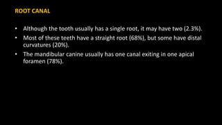 Internal Anatomy of Pulp cavity | PPTX