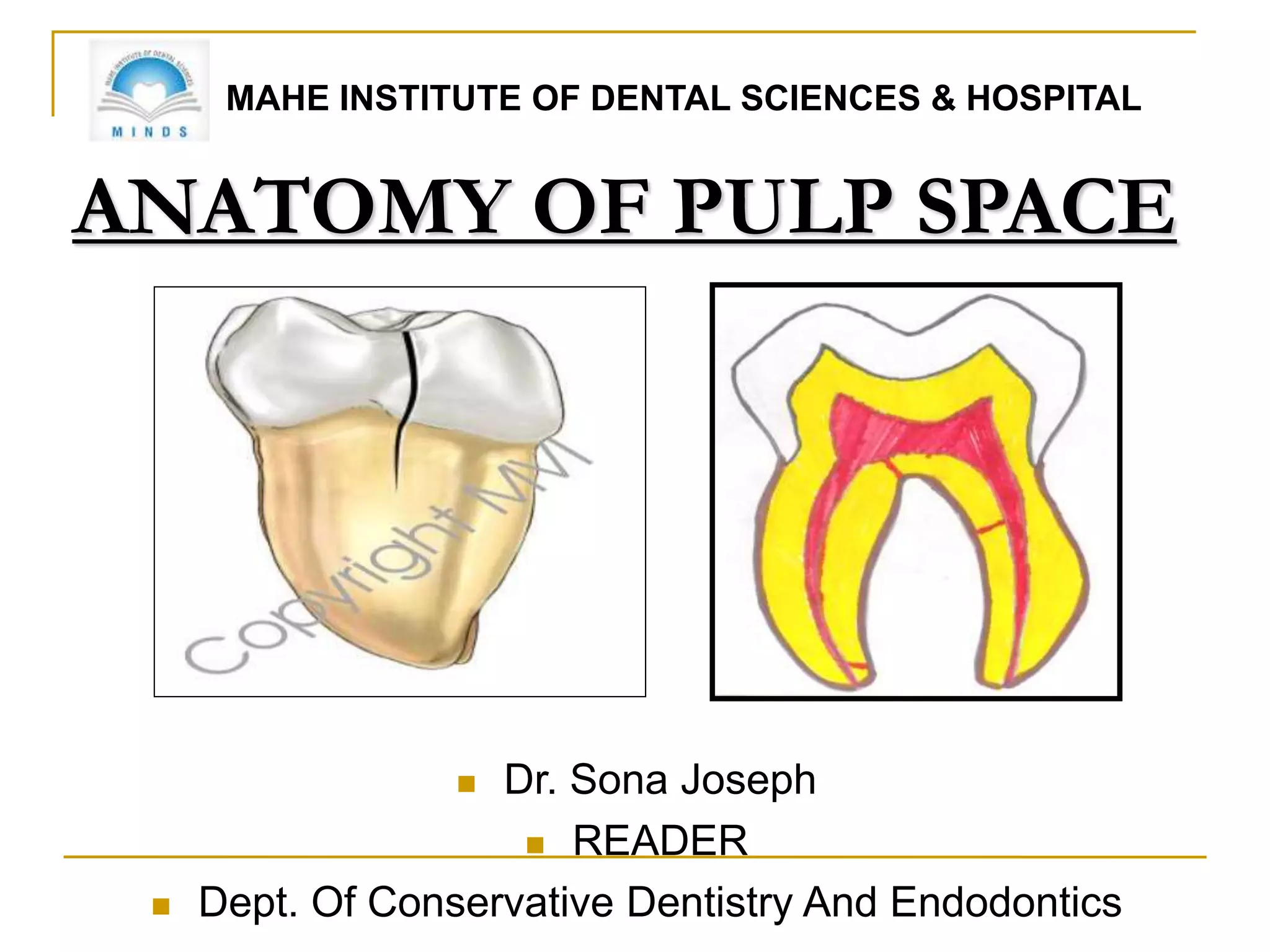 PULP SPACE (Dr. SONA) | PPT