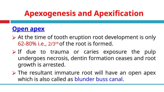 Pulp therapy.pptx in dentistry chaldraine | PPT