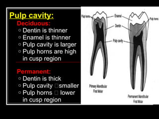 Pulp therapy for primary and young teeth | PPT