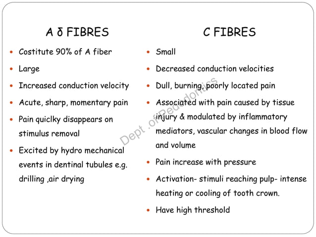Pulp vitality test new | PPT | Dental Health | Diseases and Conditions