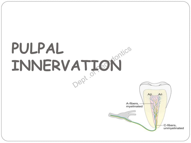 Pulp vitality test new | PPT | Dental Health | Diseases and Conditions