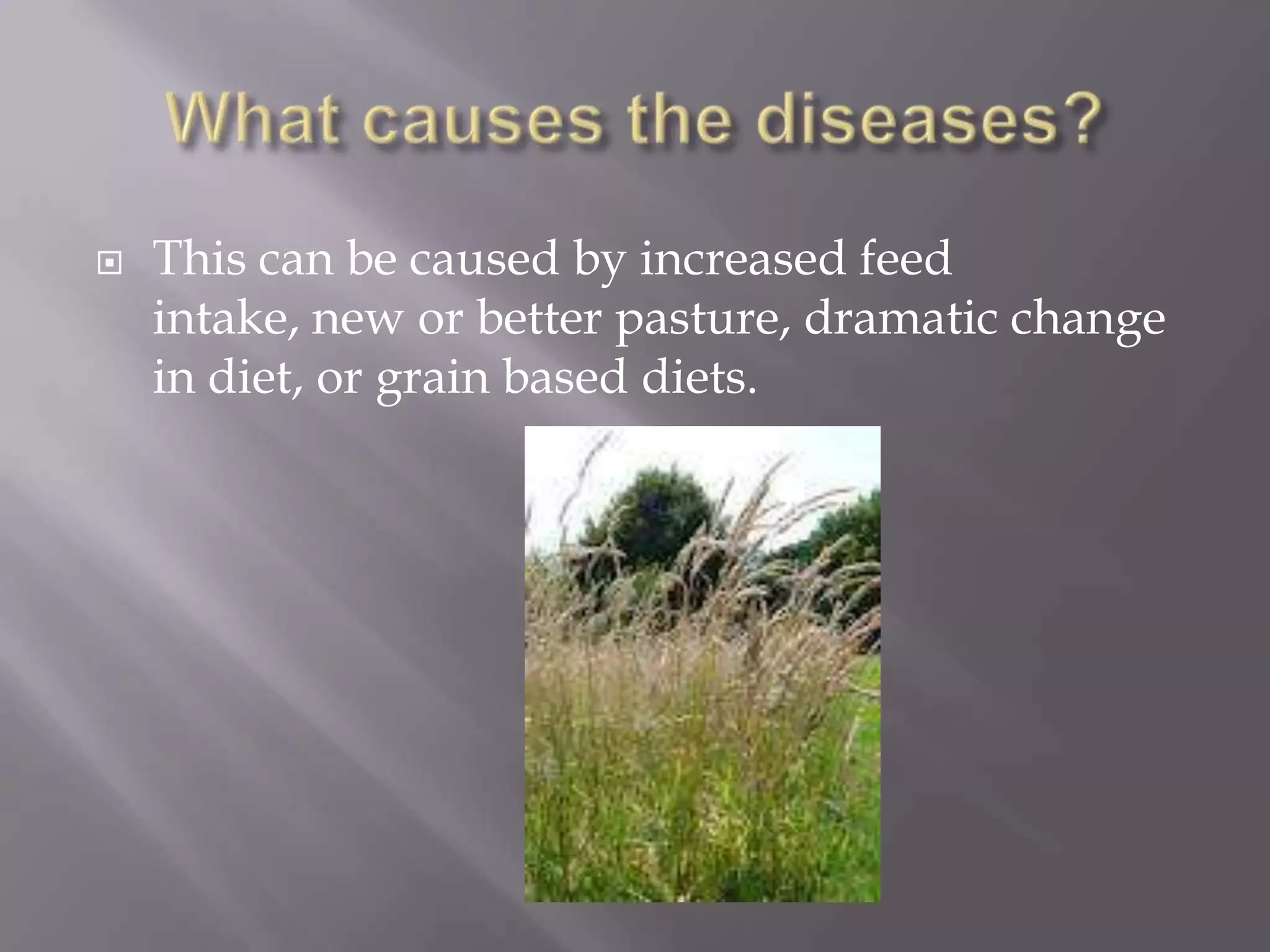 Pulpy kidney | PPT