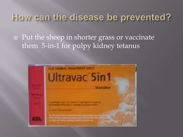 Pulpy kidney | PPTX