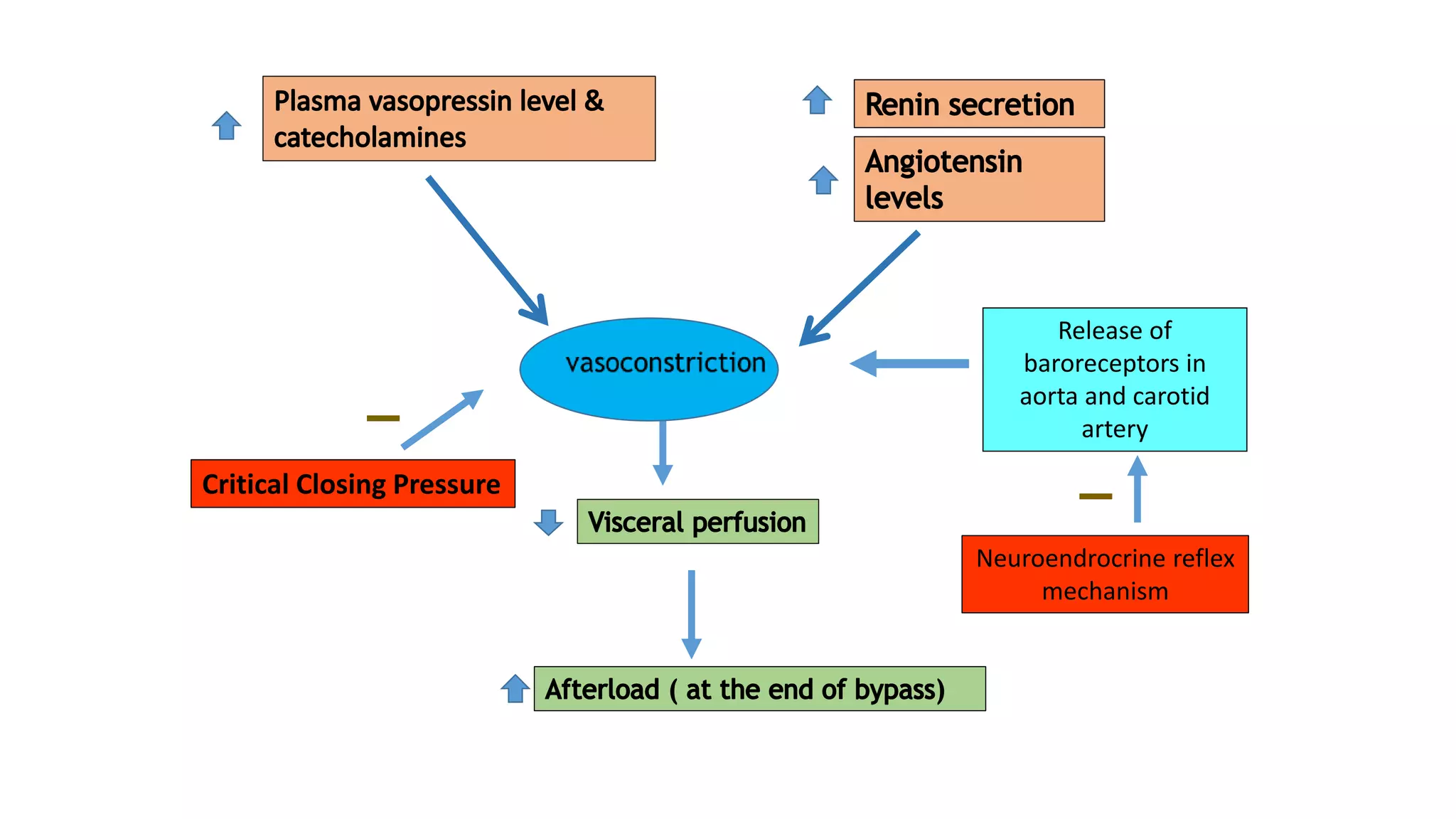Pulsatile vs non pulsatile perfusion | PPTX