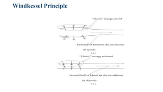 Pulsatile vs non pulsatile perfusion | PPTX