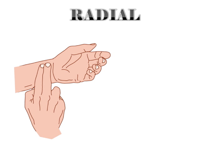 Pulse | PPT | Heart and Cardiovascular Diseases | Diseases and Conditions