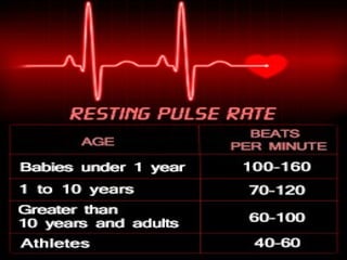 Pulse | PPT