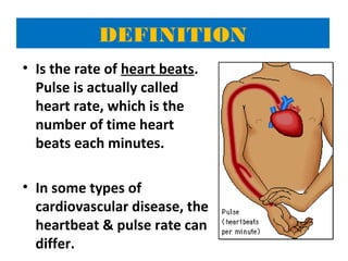 Science Human Body Pulse
