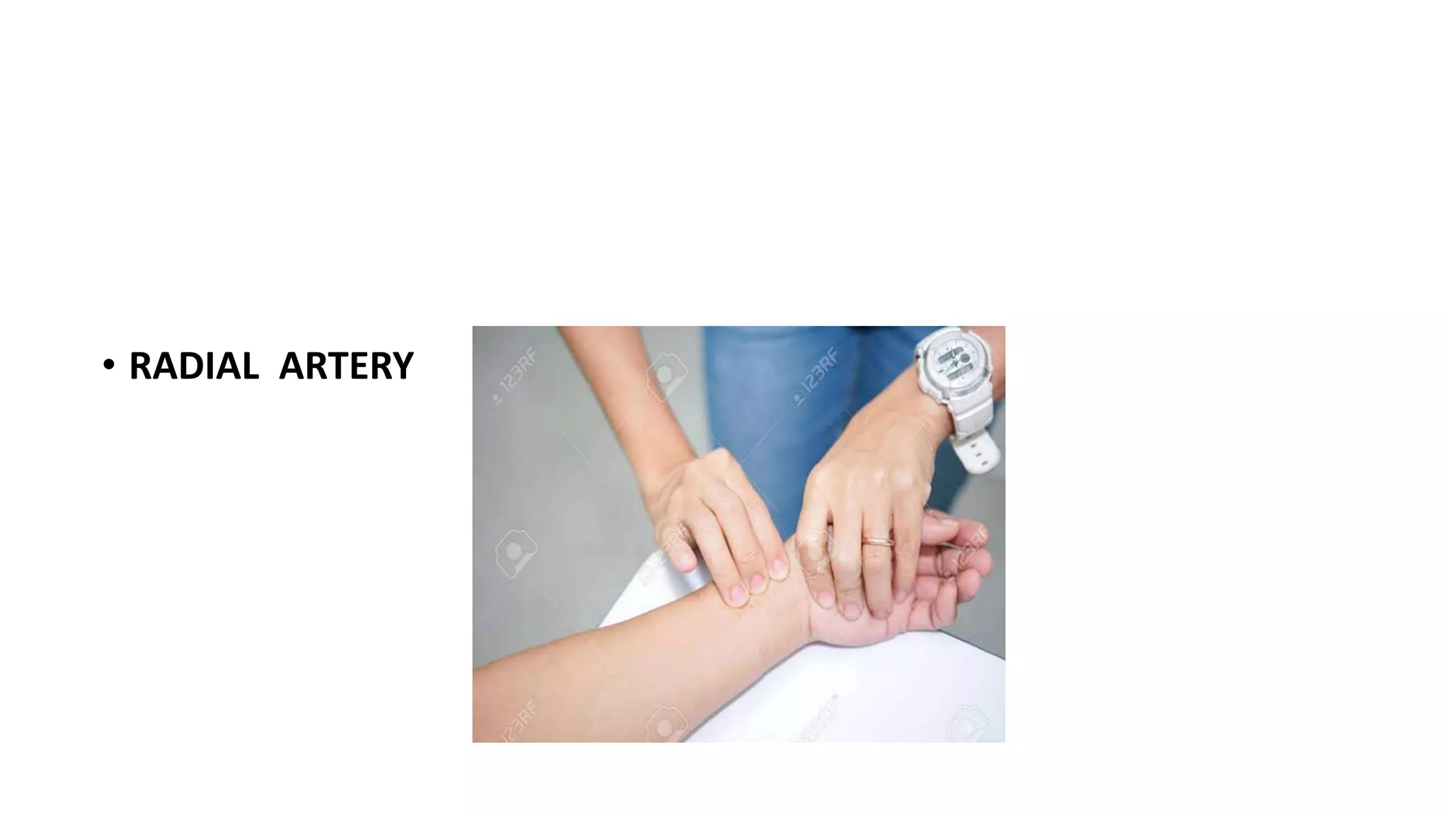 Pulse - Arterial Pulse - Types | PPTX | Heart and Cardiovascular ...