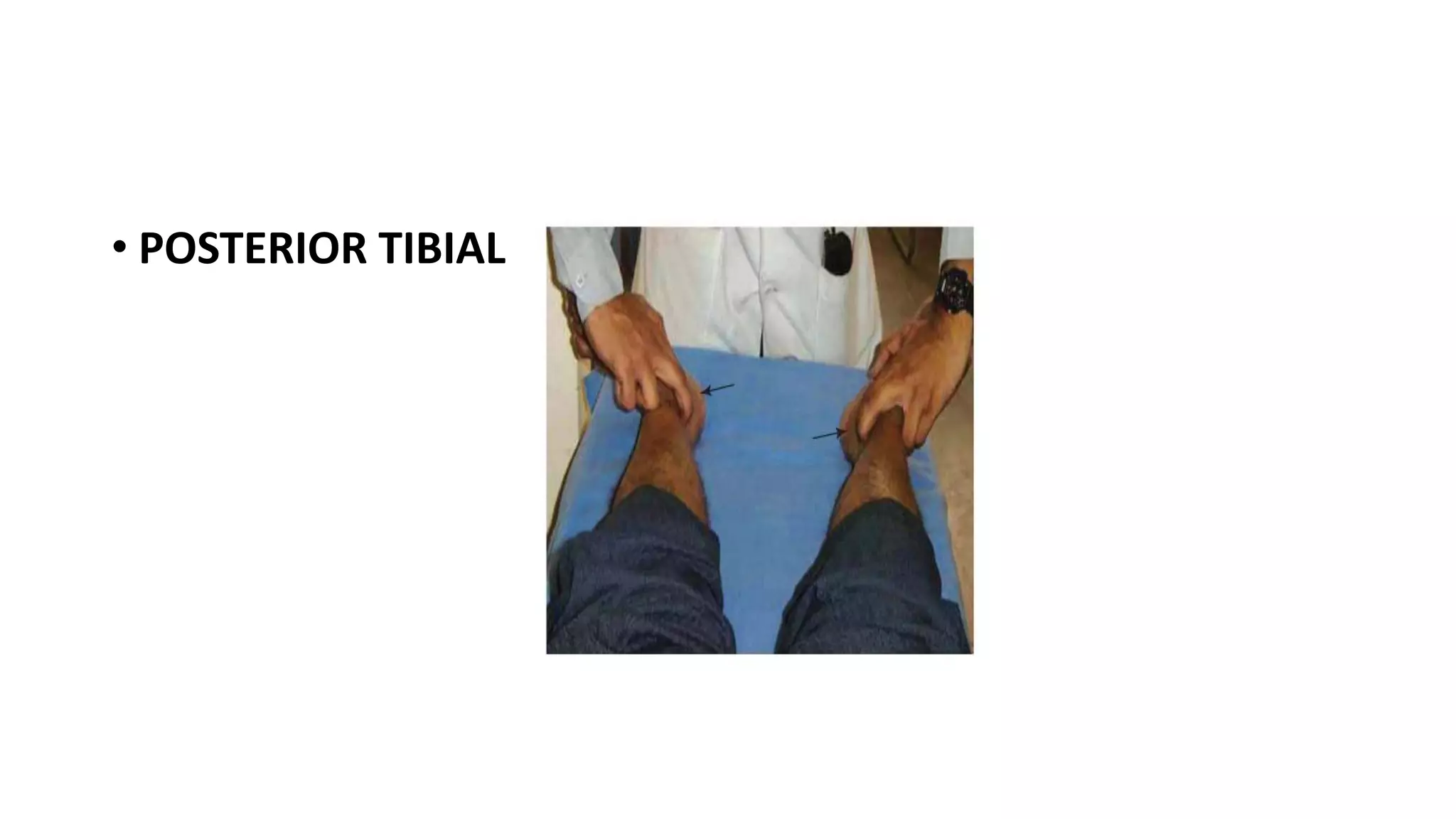 Pulse - Arterial Pulse - Types | PPTX