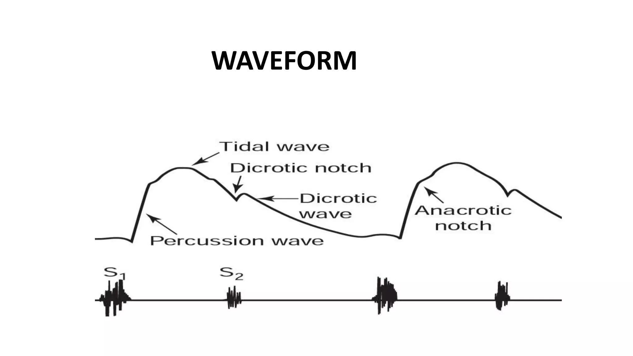 Pulse - Arterial Pulse - Types | PPTX | Heart and Cardiovascular ...