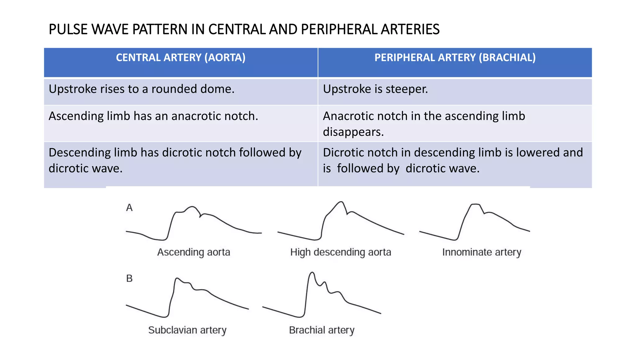 Pulse - Arterial Pulse - Types | PPTX