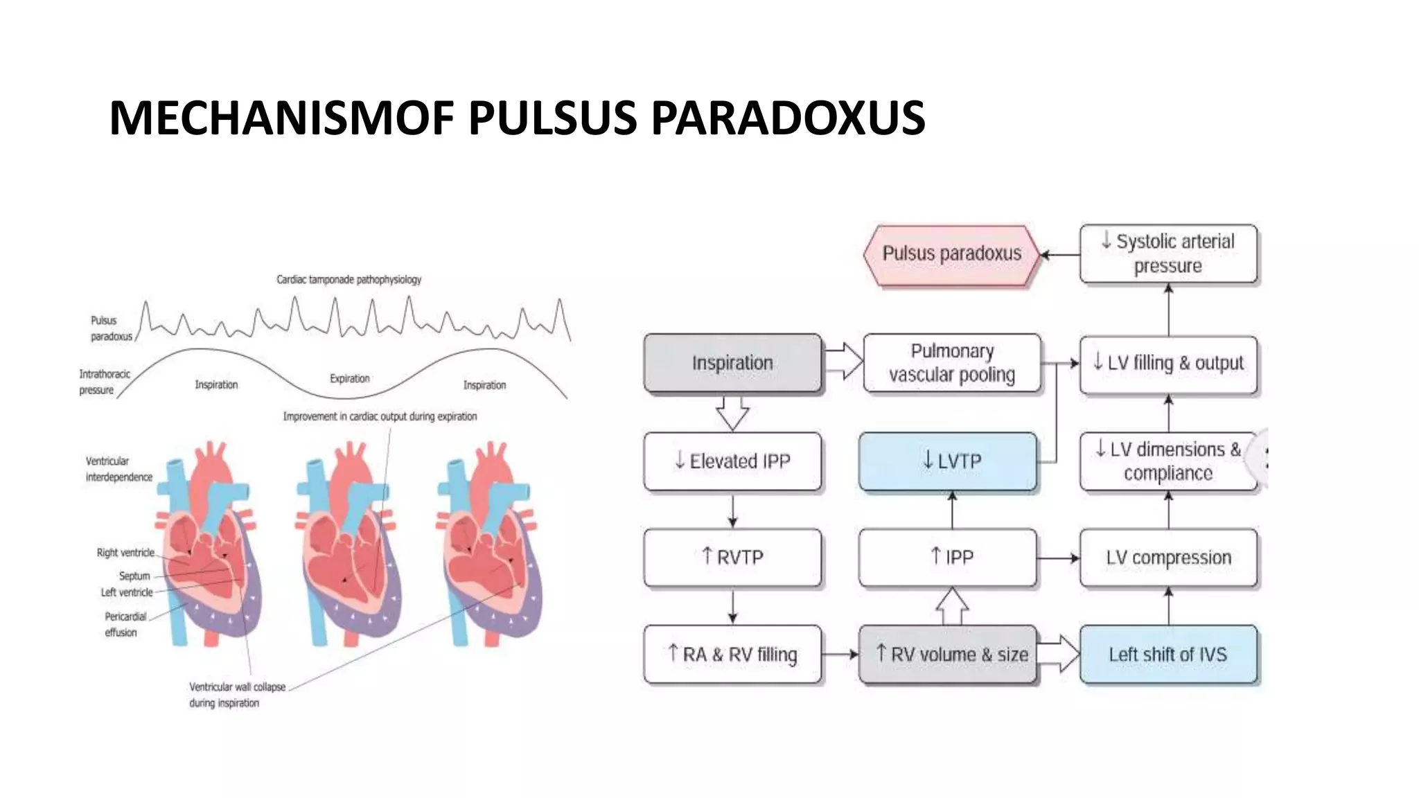 Pulse - Arterial Pulse - Types | PPTX