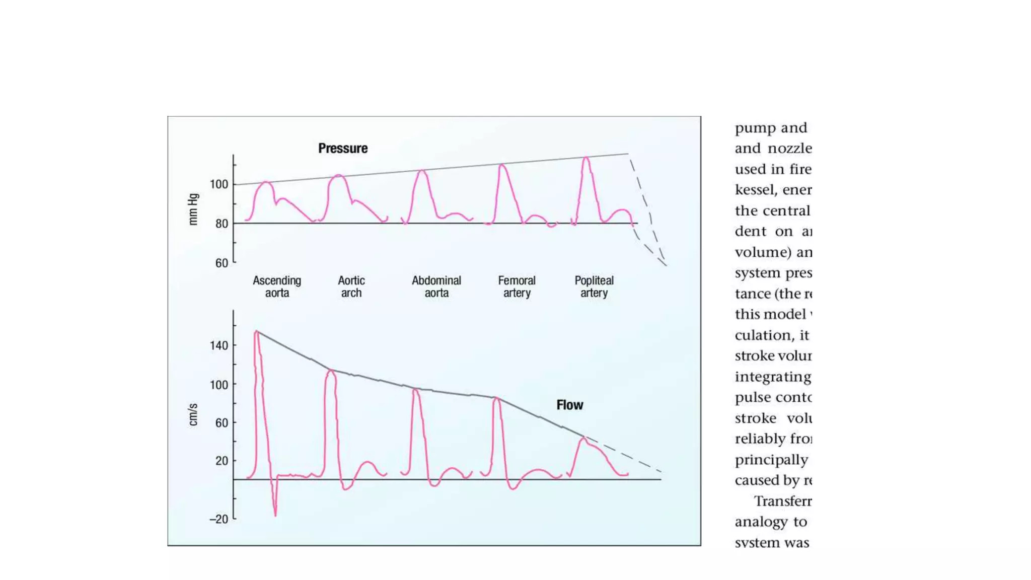 Pulse - Arterial Pulse - Types | PPTX