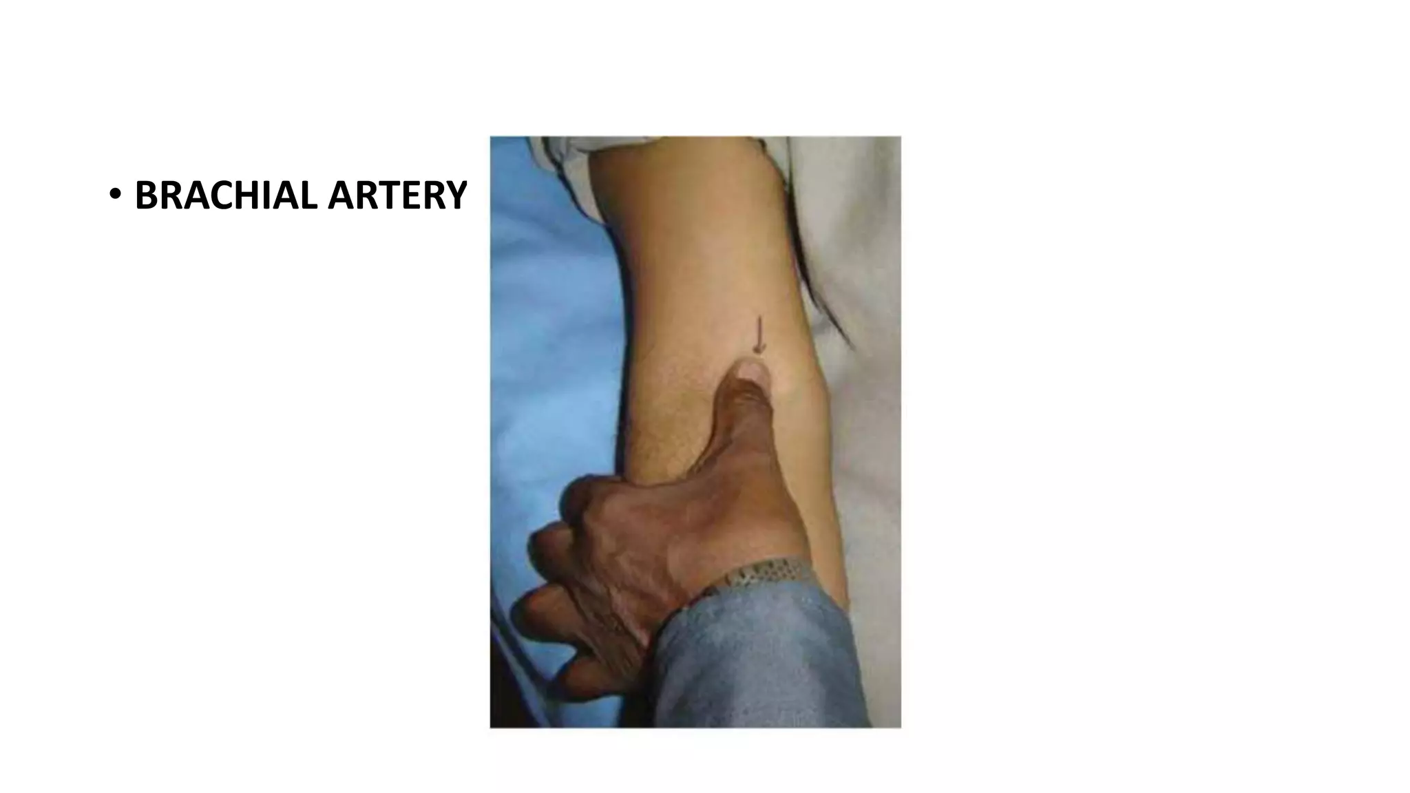 Pulse - Arterial Pulse - Types | PPTX