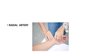 Pulse - Arterial Pulse - Types | PPTX