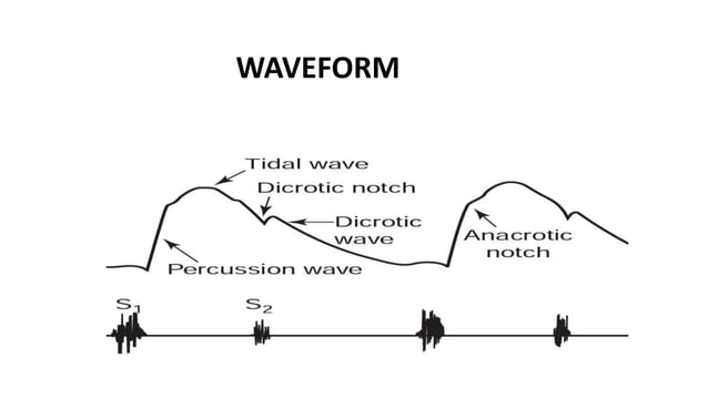 Pulse - Arterial Pulse - Types | PPTX | Heart and Cardiovascular ...