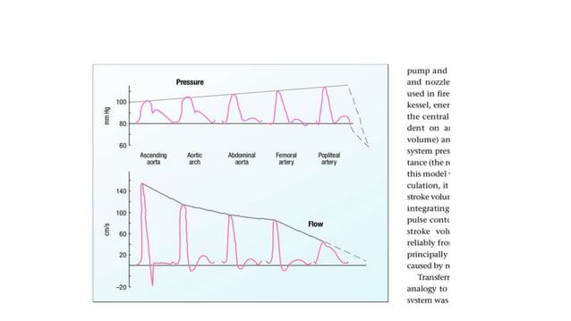 Pulse - Arterial Pulse - Types | PPTX | Heart and Cardiovascular ...