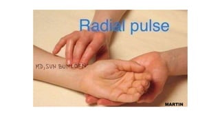 DIFFERENT PULSE SITES (pulse -introduction & images) | PPTX